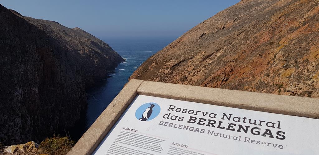 Como visitar as Berlengas - Como chegar, o que vai ver e o que fazer ...